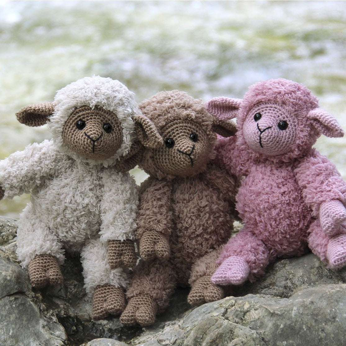 Teddy Basserne – Hobbii